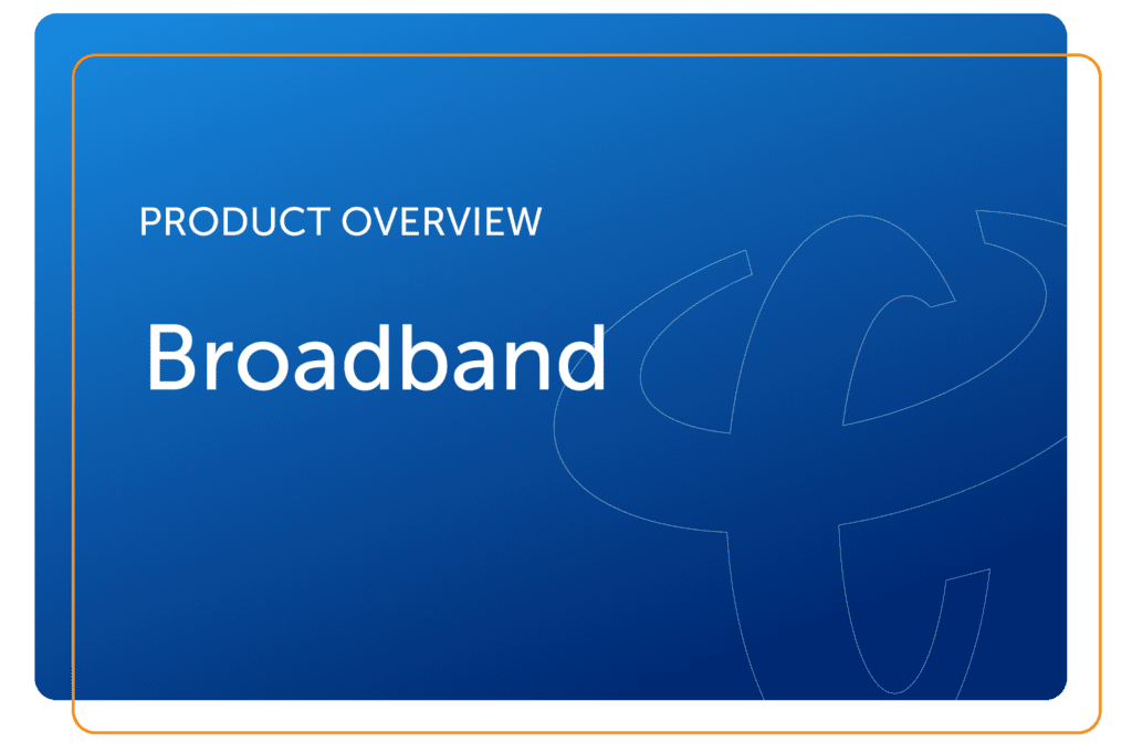 Broadband Internet | China Telecom Americas